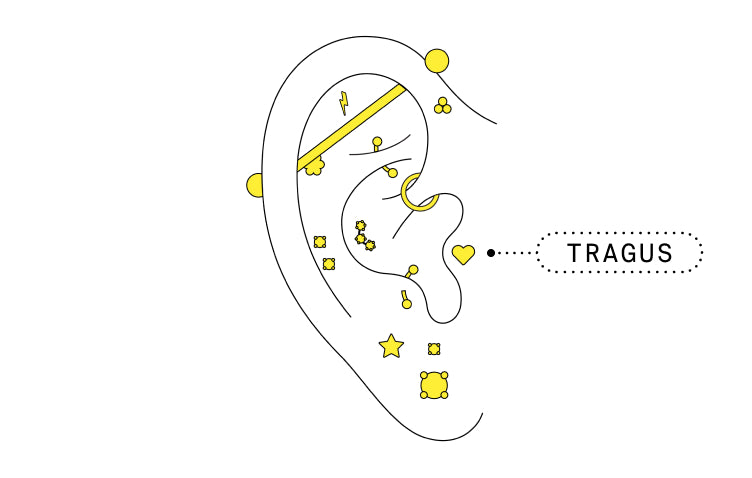 Tragus – Studs