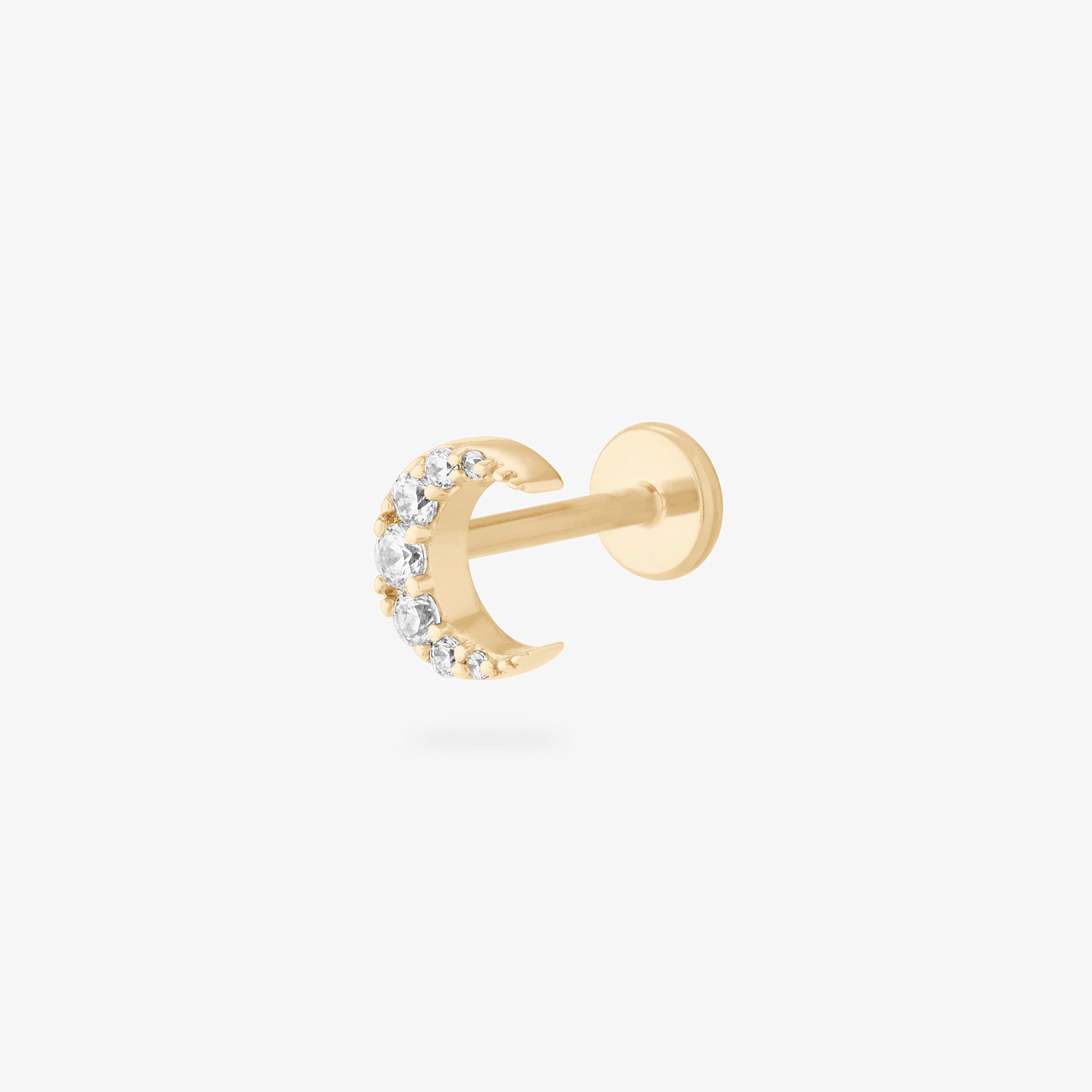 Conch – Studs